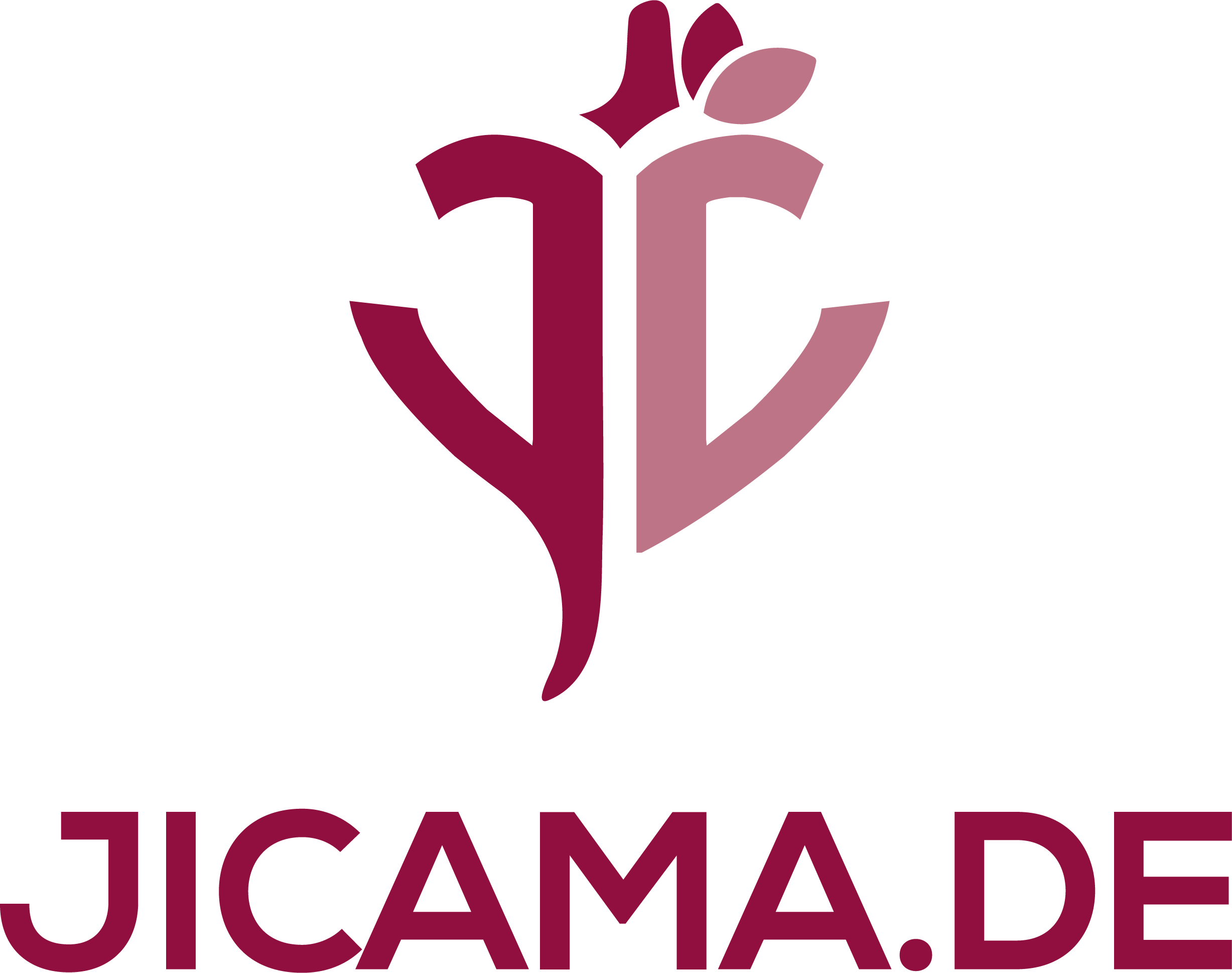 Jicamade Das Exklusive Wurzelgemüse